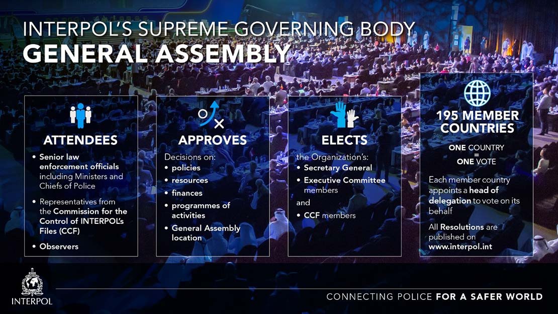 Interpol - Shield IAS