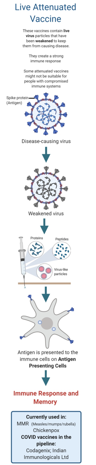 Vaccines - Shield IAS