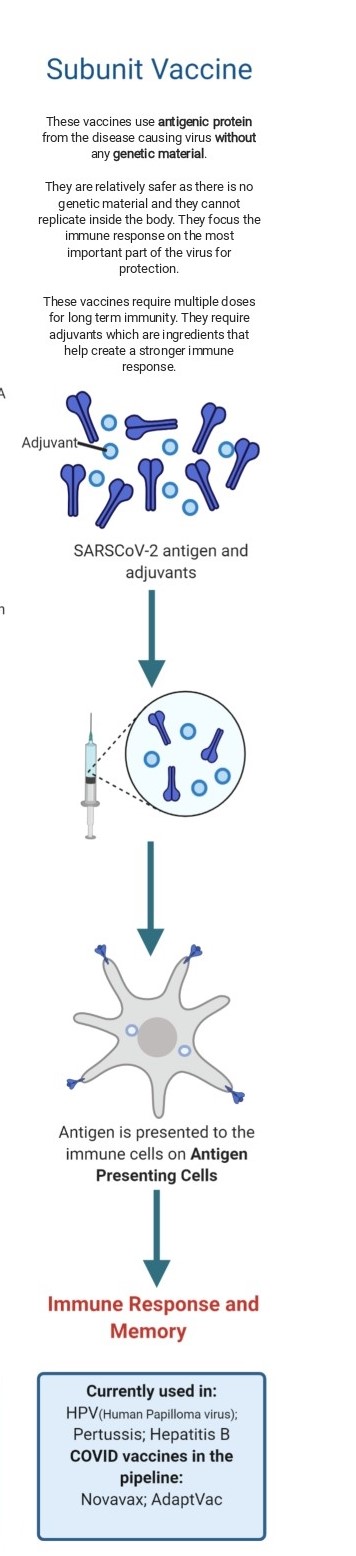Vaccines - Shield IAS
