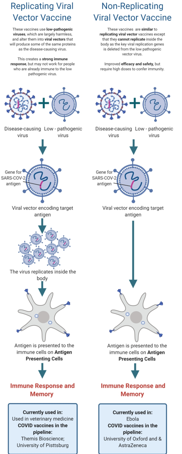 Vaccines - Shield IAS